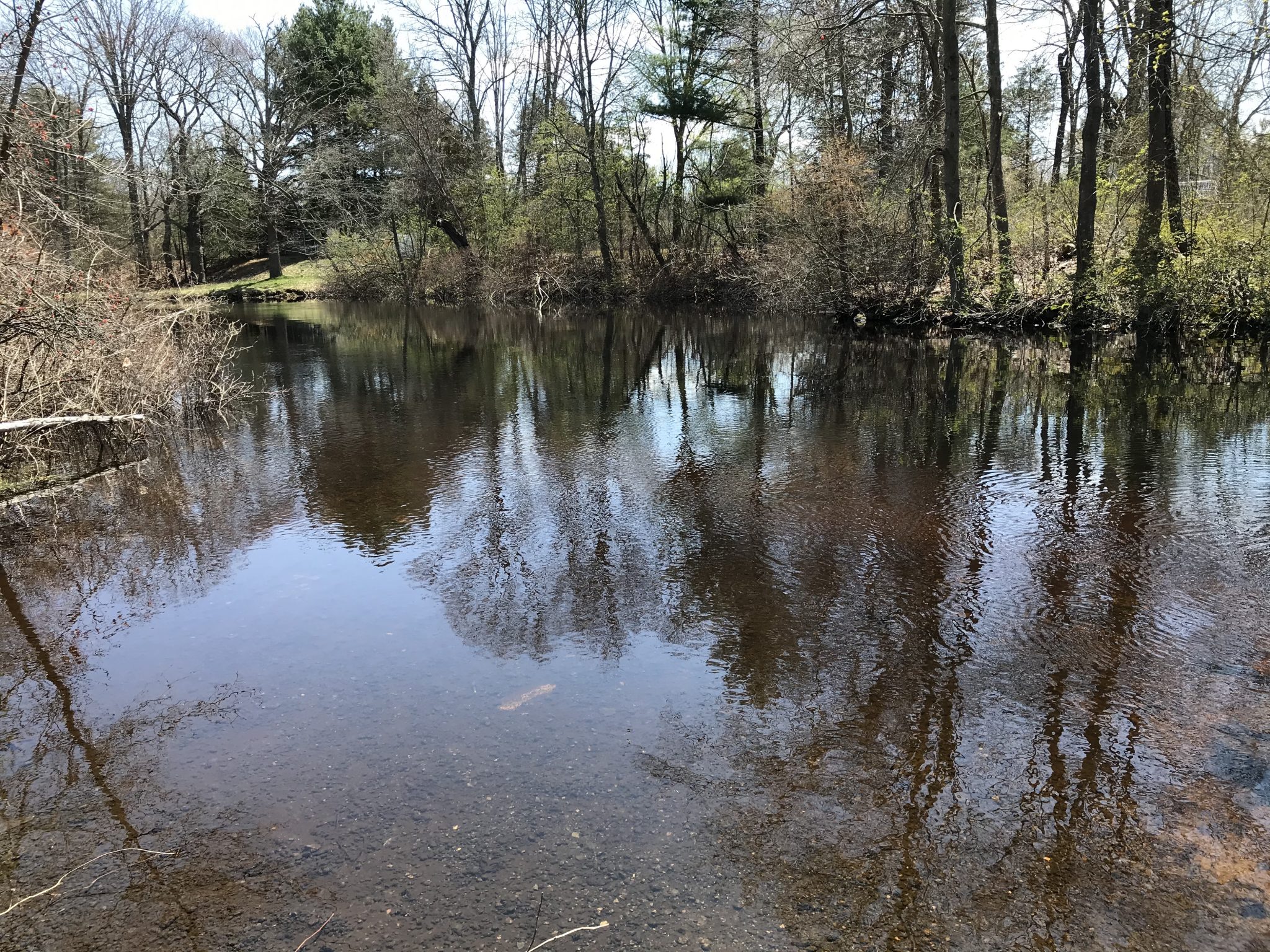 Snake River at Bay Road, Norton – Taunton River Watershed Alliance