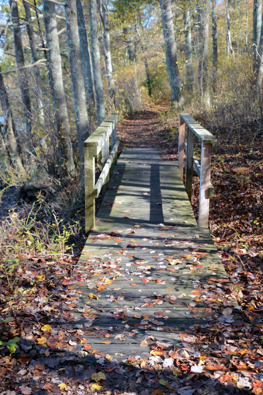 Guided Walk- Dighton Rock State Park – Taunton River Watershed Alliance