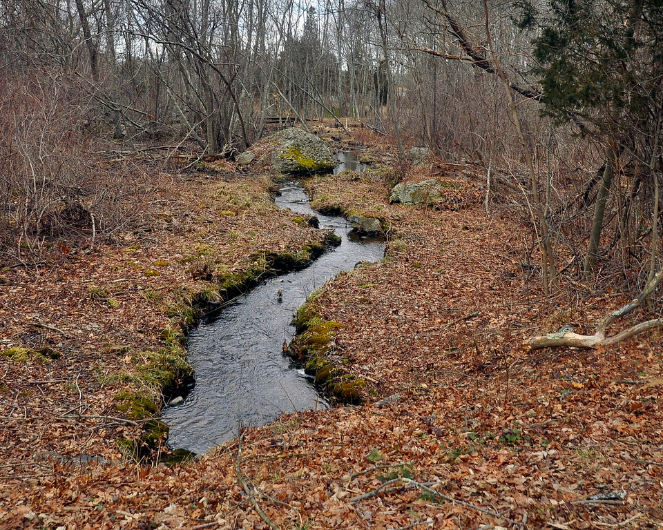 Guided Walk- Dighton Rock State Park – Taunton River Watershed Alliance