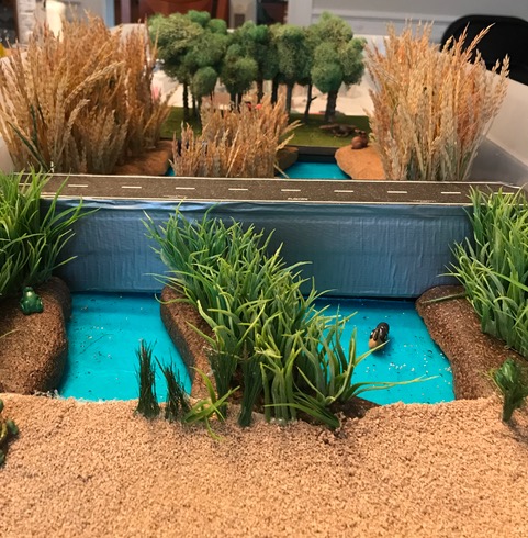The Orchestra as Ecosystem – Taunton River Watershed Alliance