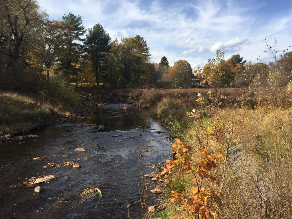 Guided Walk- Mill River Dam Removal Tour, Taunton – Taunton River ...