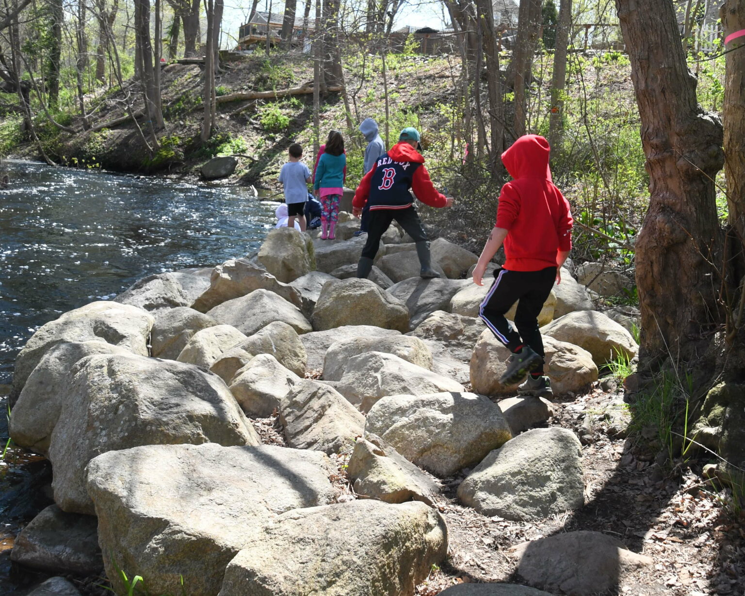 Annual Herring Run – Taunton River Watershed Alliance