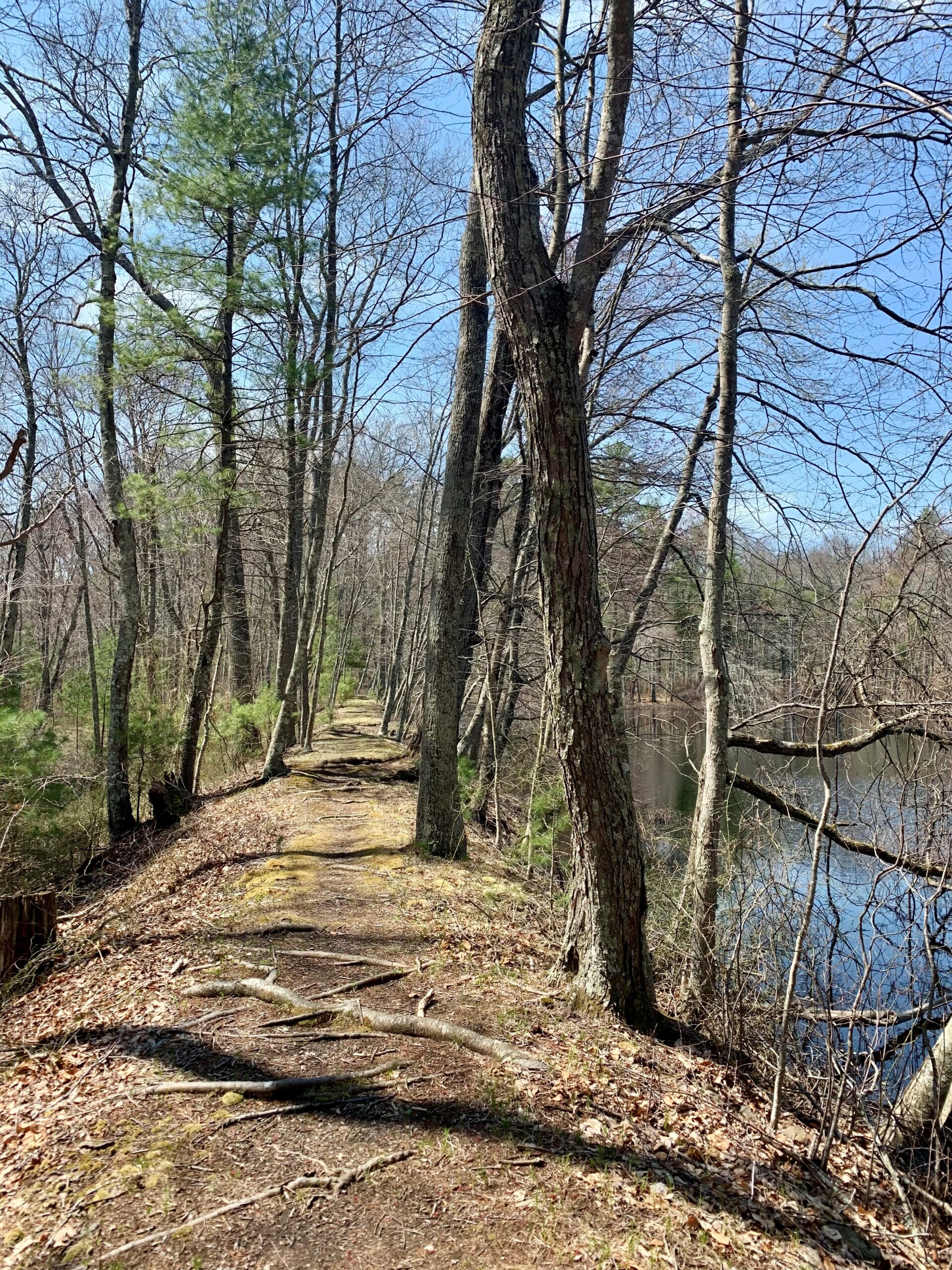 Guided Walk- Copper Works – Taunton River Watershed Alliance