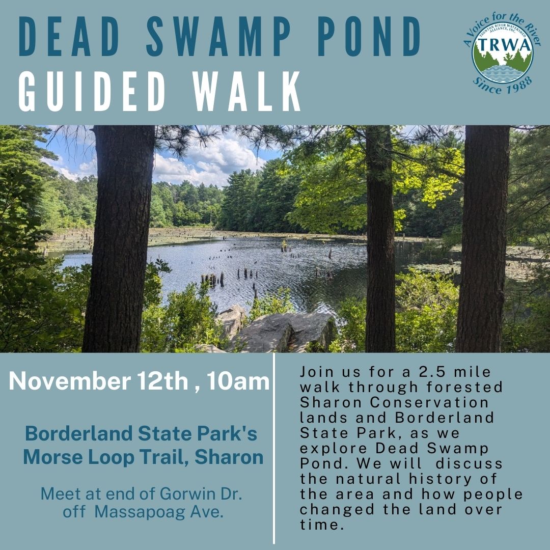 Guided Walk- Dead Swamp Pond – Taunton River Watershed Alliance